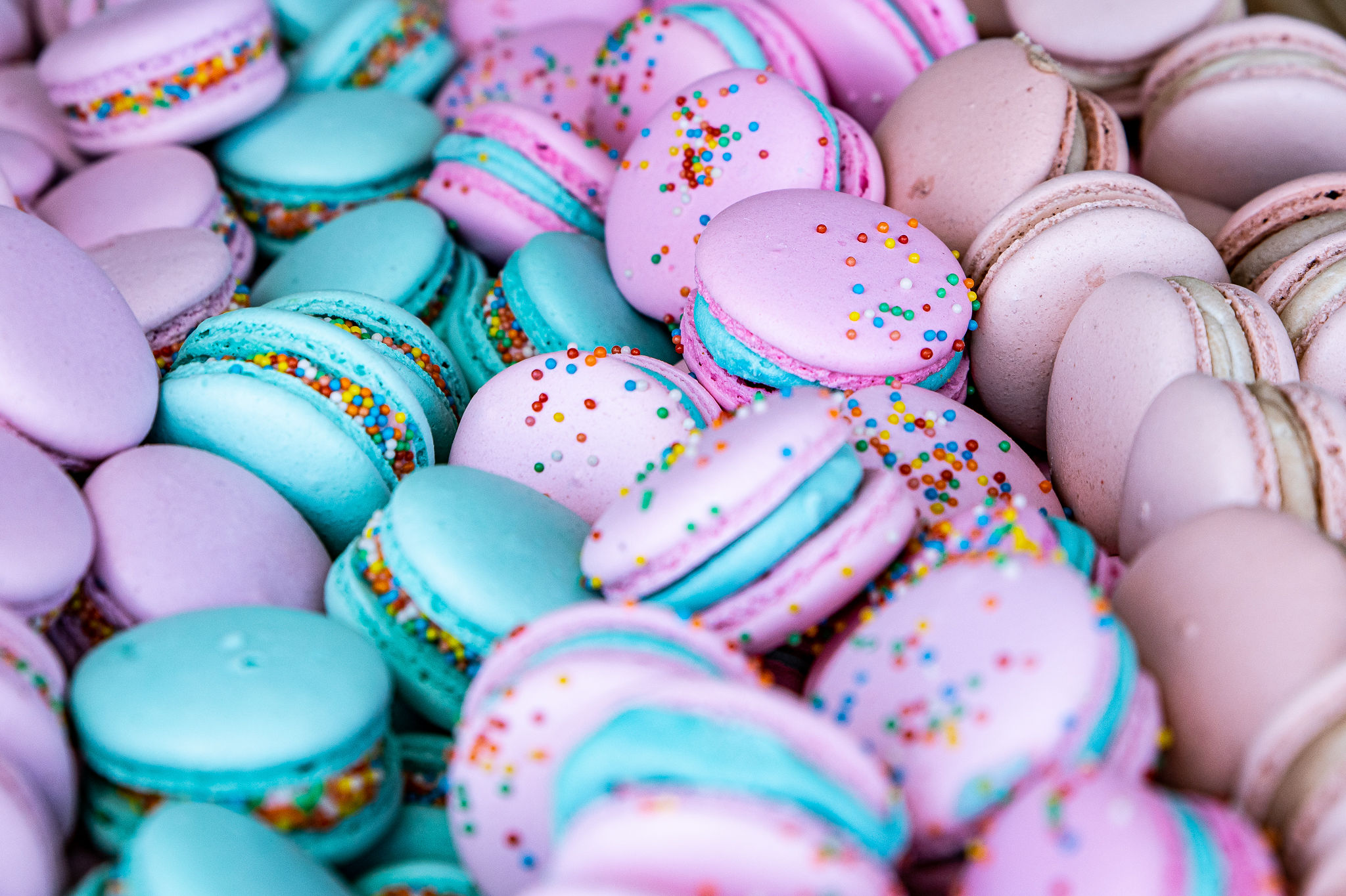 Tickets, Kapiti Food Fair